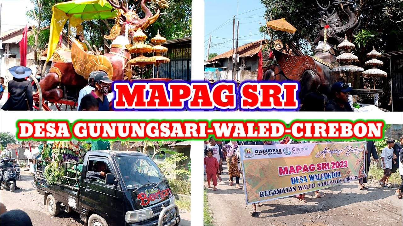 NGARAK MAPAG SRI desa Gunungsari-waled-cirebon 26-06-2023 - YouTube