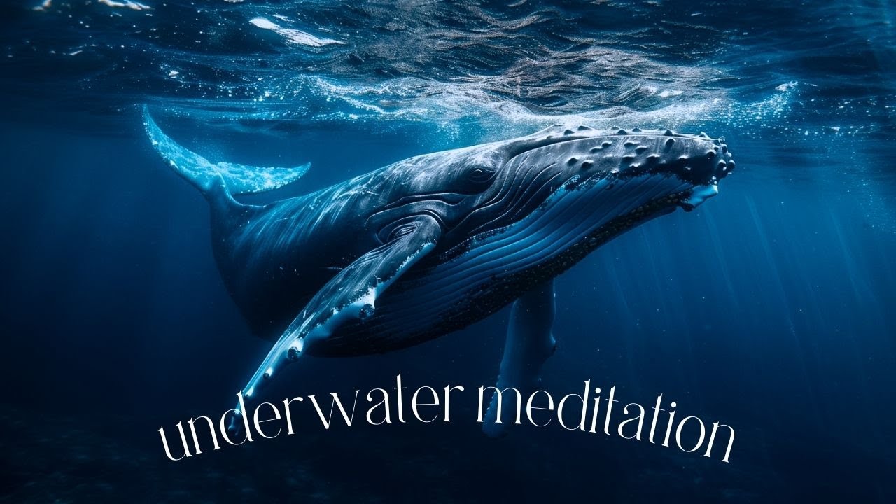 [DEEP SLEEP] Whale Sounds, Delta Waves, Ambient Music | Relaxation ...