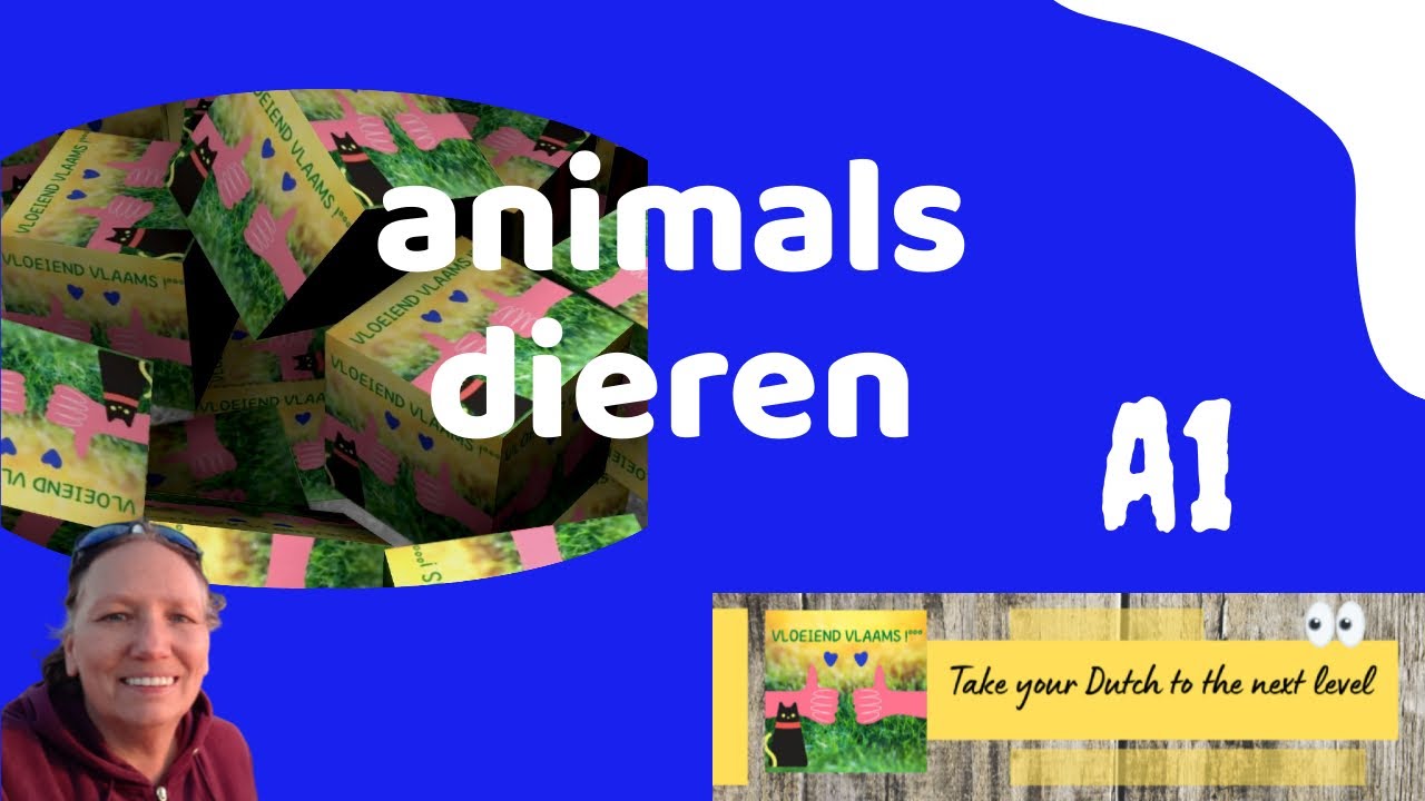 Animals (dieren) in Dutch Flemish A1 - YouTube