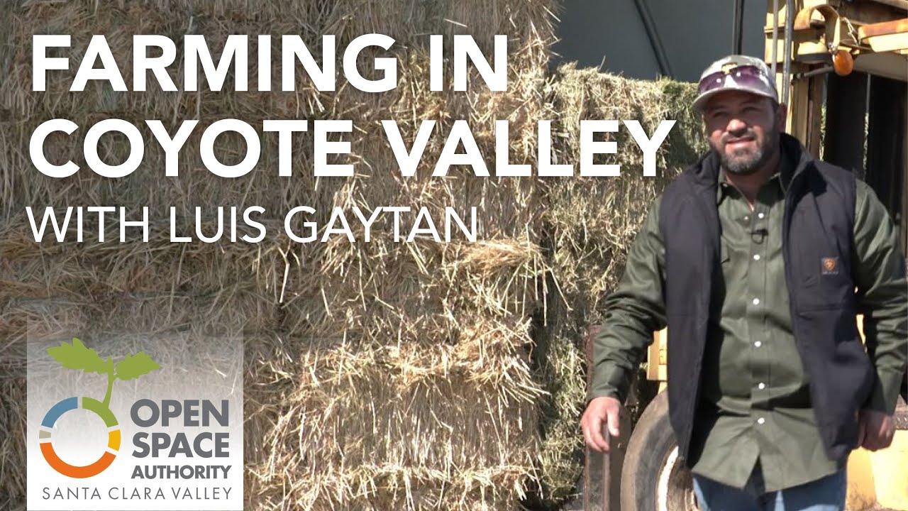 Farming in Coyote Valley with Luis Gaytan - YouTube