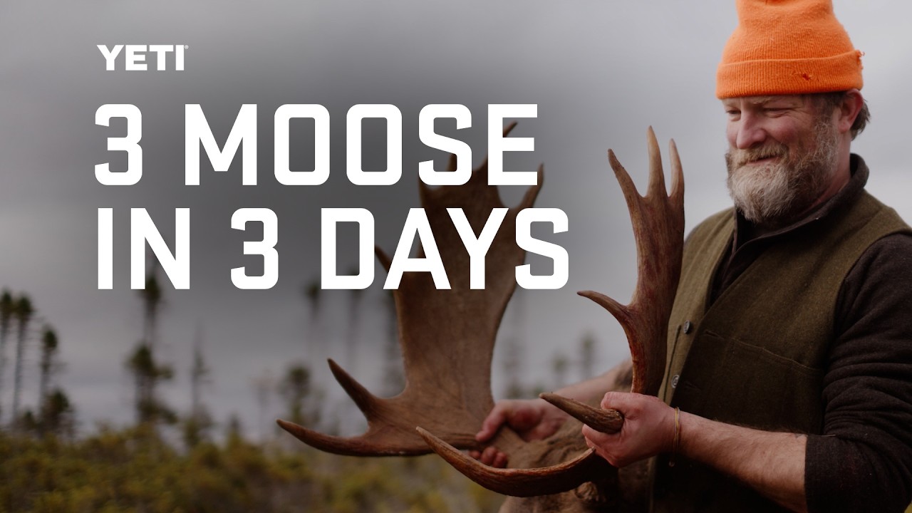 Chef Hunts & Cooks Moose in Remote Canadian Wilderness | Stories from ...