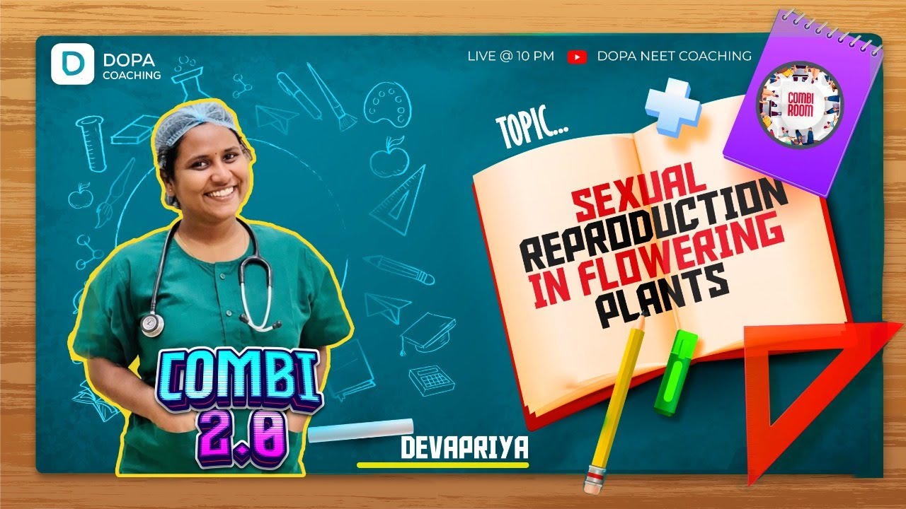 COMBI ROOM | SEXUAL REPRODUCTION IN FLOWERING PLANTS | DEVAPRIYA - YouTube