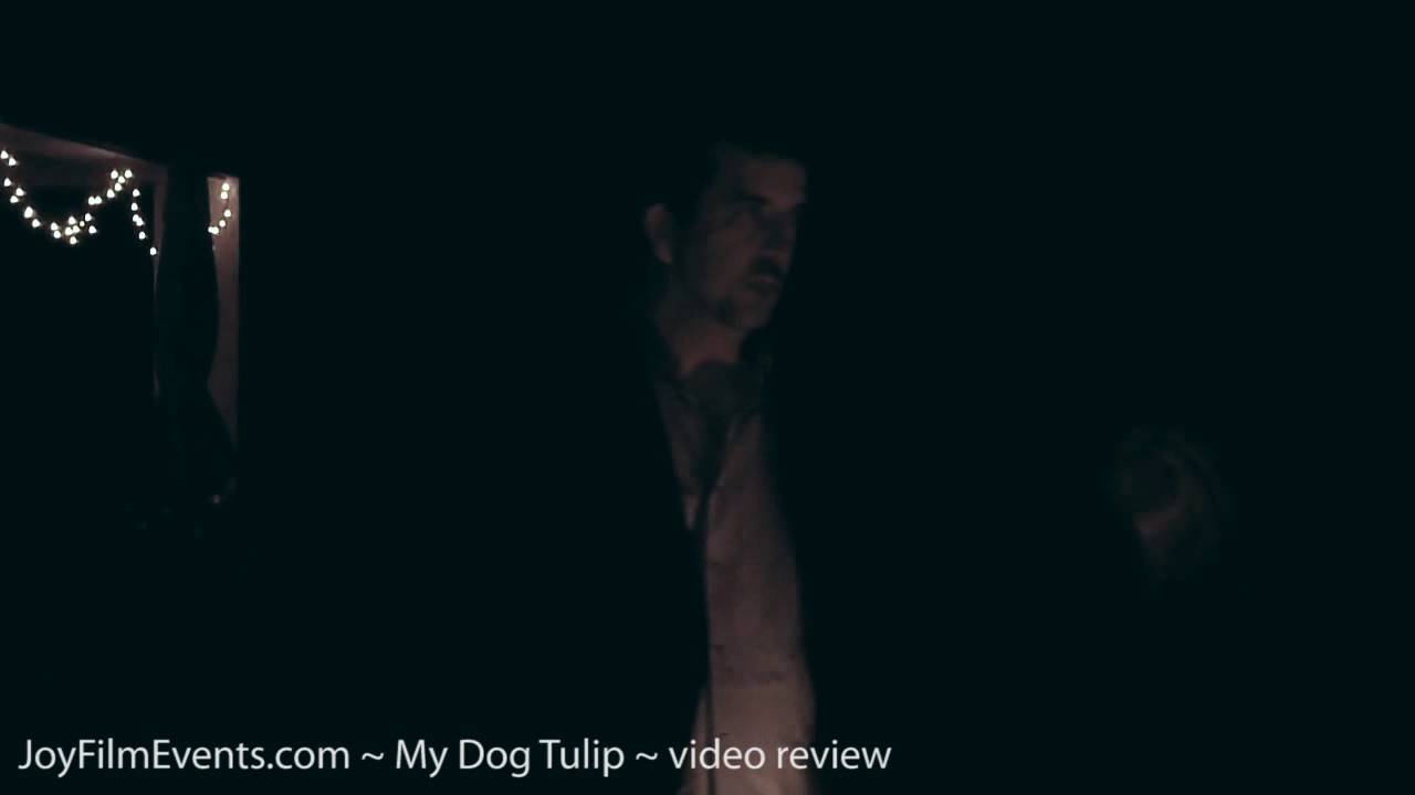 My Dog Tulip Jim Wendt 1024x768 - YouTube