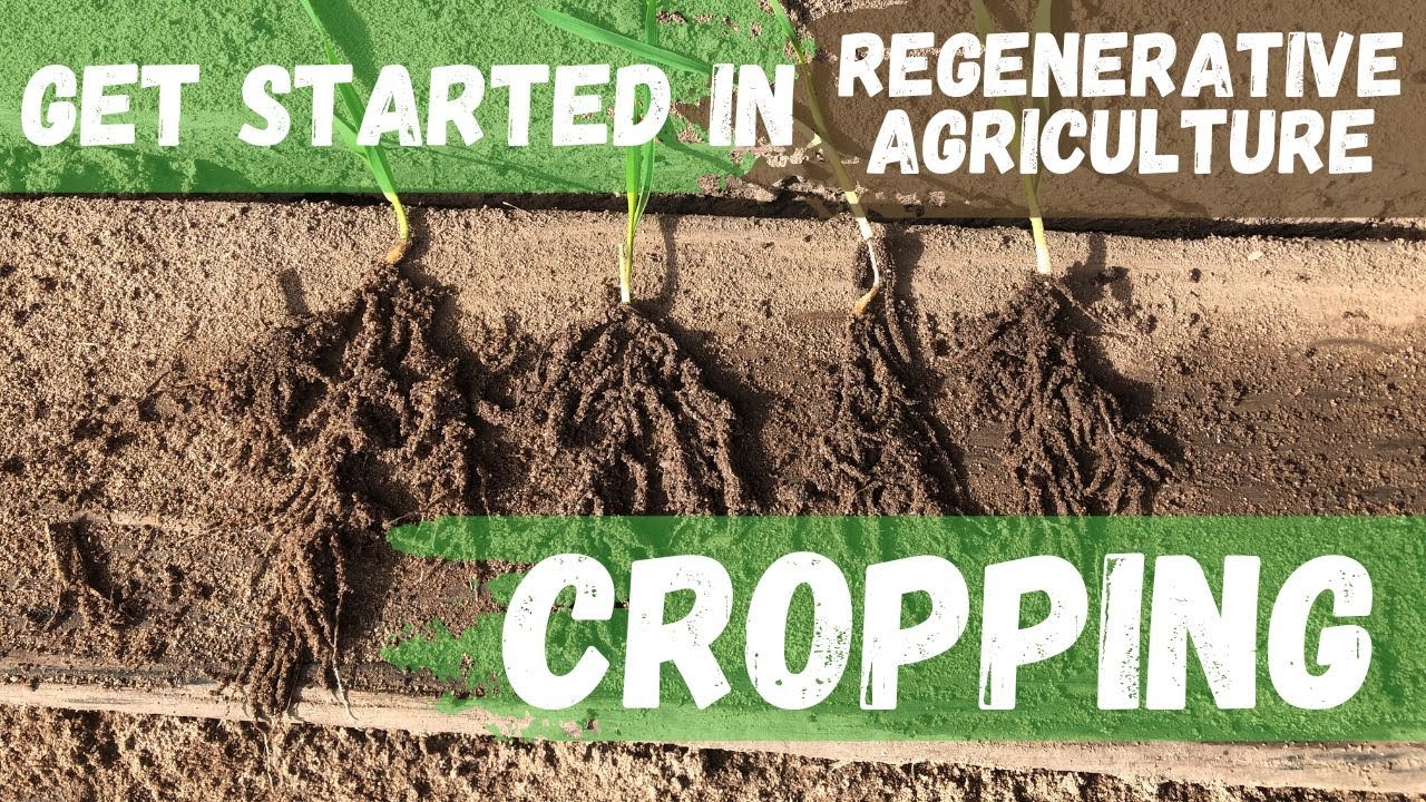 How To Get Started In Regenerative Agriculture For Cropping? - YouTube