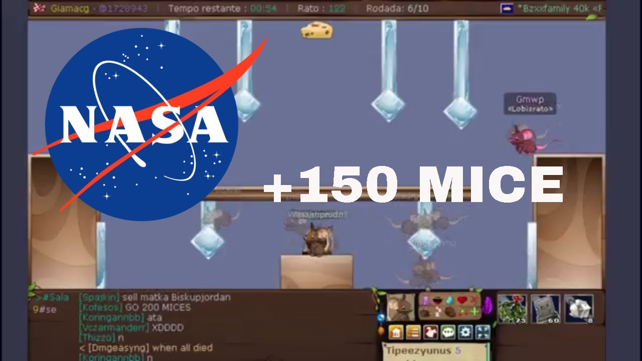 Transformice - Gmwp 100/150 mice (NO LAG) - YouTube