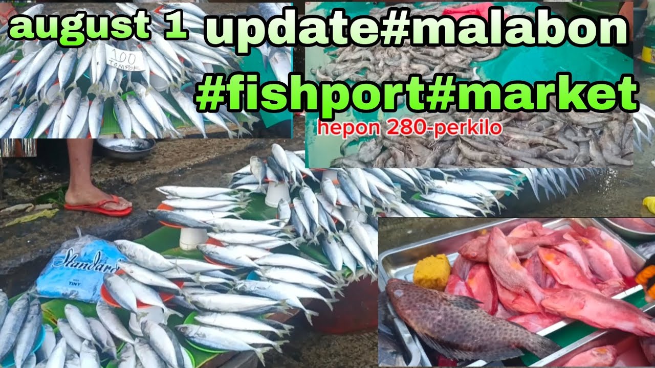 #malabon# fishport#market solid ang tumpukan mga isda#tonyvlogs - YouTube
