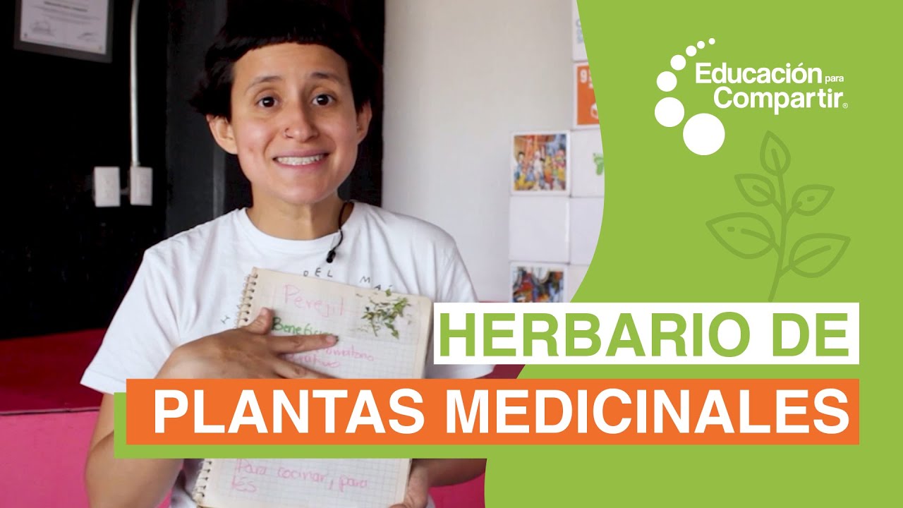 ¿QUÉ ES UN HERBARIO? Y, ¿CÓMO HAGO UNO? - YouTube