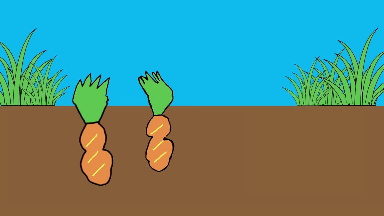 Carrot animation - YouTube