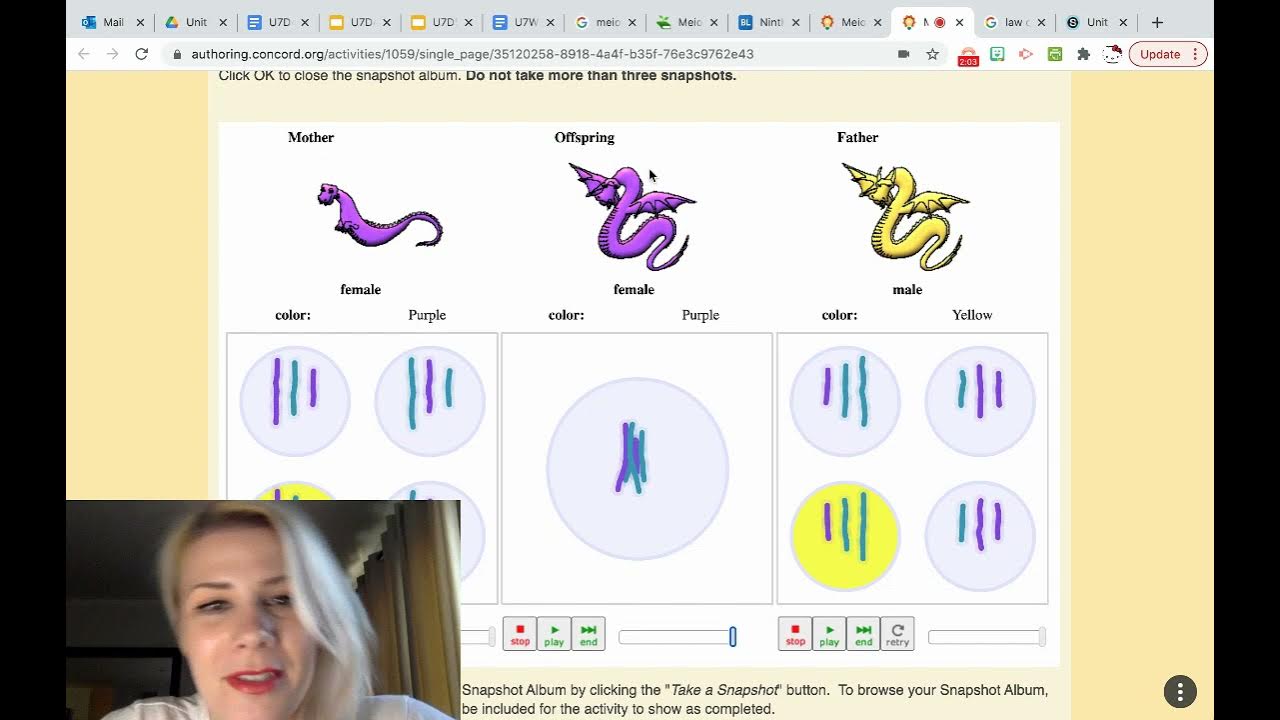 Meiosis Dragon Lab Help - YouTube