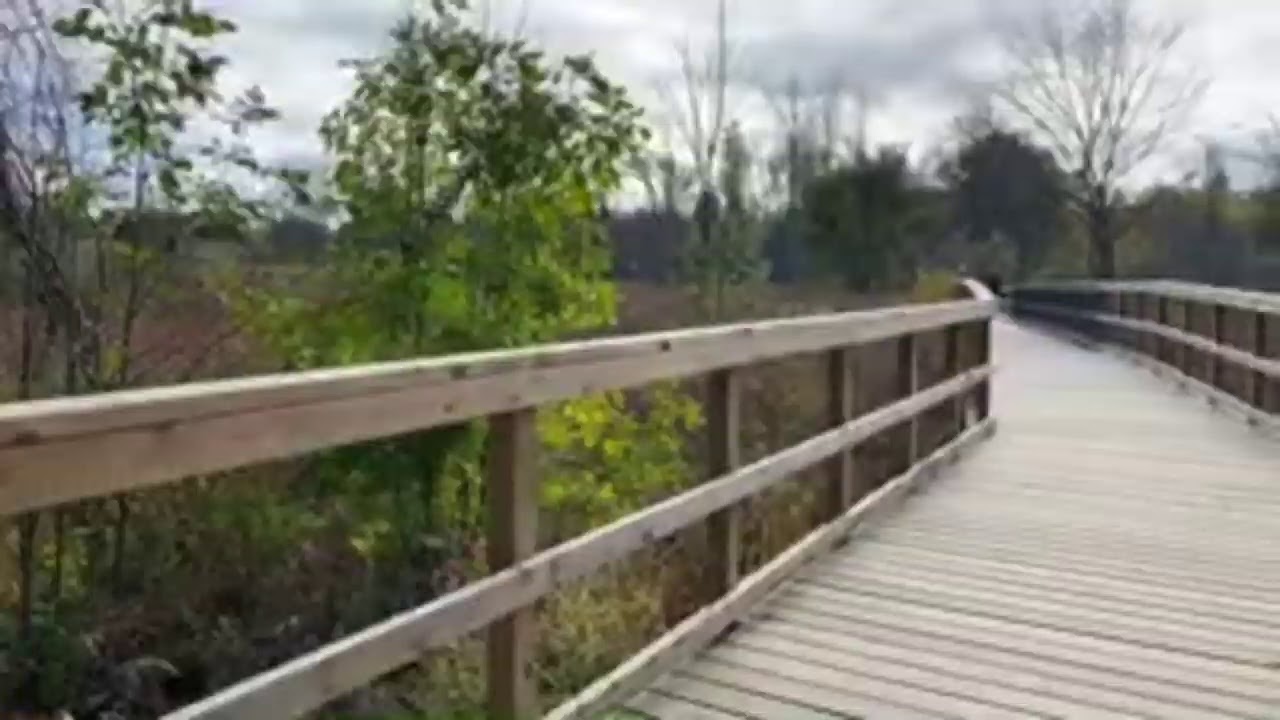 Fall Colours at Jack Darlington Memorial Park - YouTube