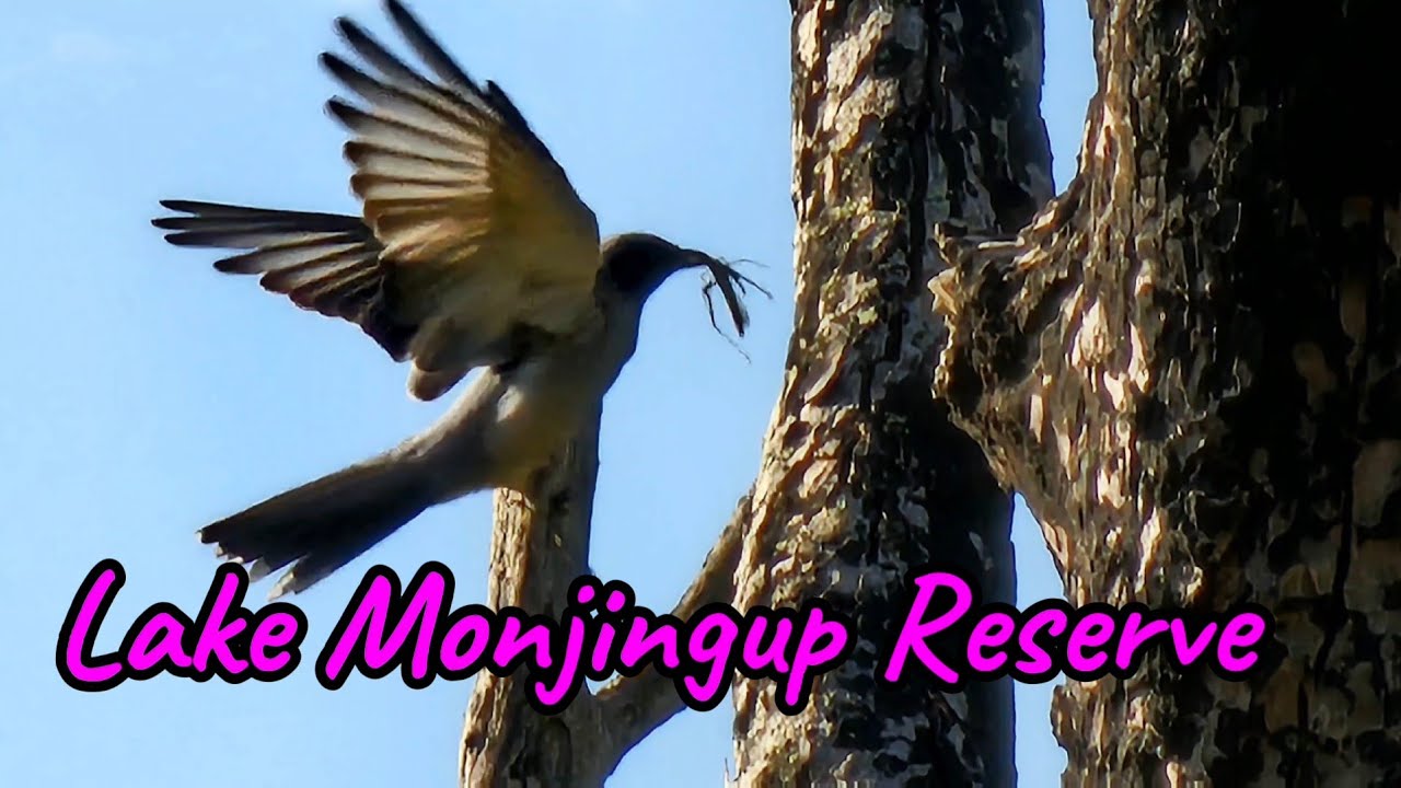 The Amazing Lake Monjingup Reserve - YouTube