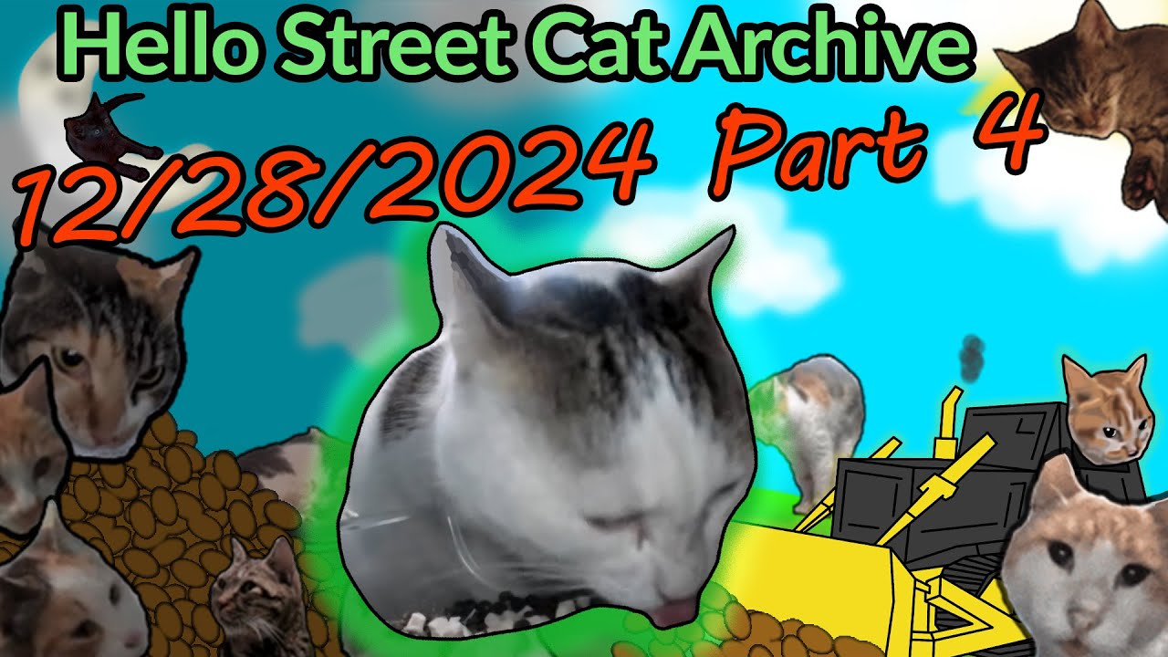 Brother Styles' Adorable Dinner at 10,000 Cats Shop! Hello Street Cat ...