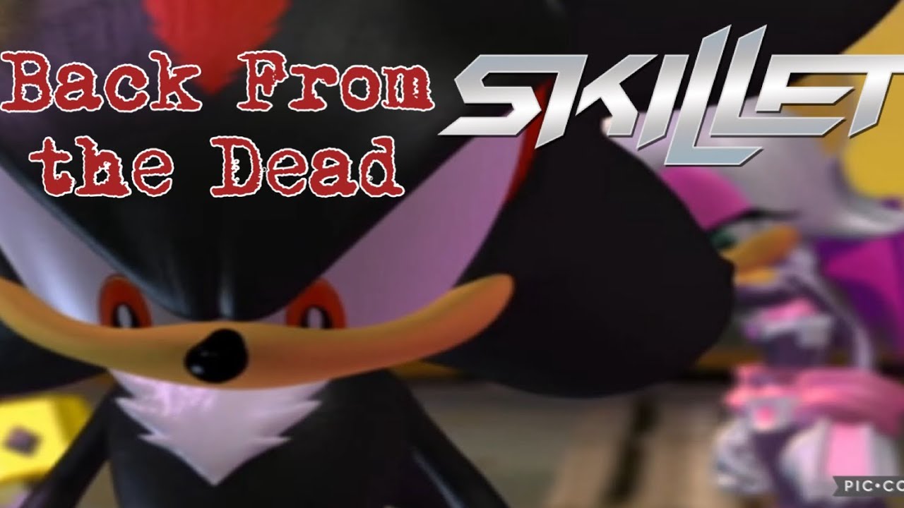Shadow the Hedgehog (Sonic Heroes) Tribute ~ Back From The Dead - YouTube