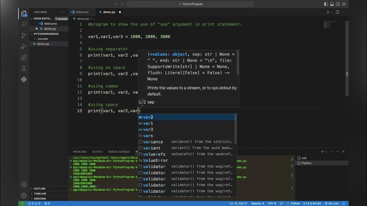 How to create python separator argument in print statement . - YouTube