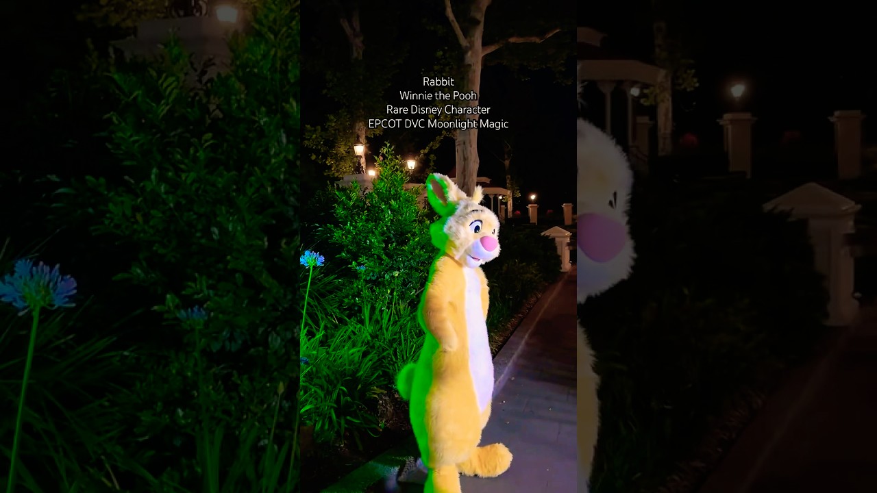 Rabbit Winnie the Pooh Rare Character Sighting EPCOT #rabbit #winniethepooh #disney #character