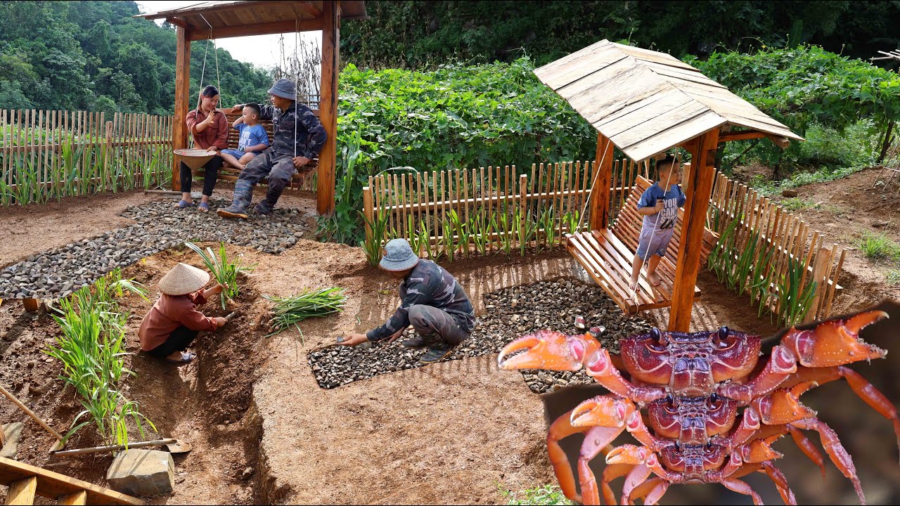 Build a beautiful garden, outdoor space on the farm | TIMELAPSE | Daily ...