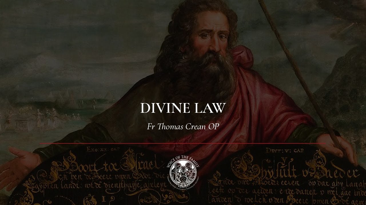 Divine law - YouTube