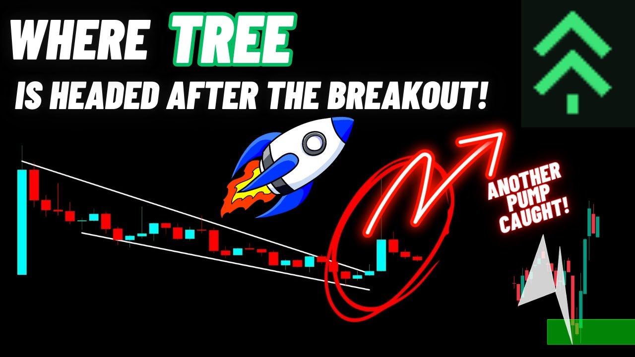 Where Tree Coin Is Headed After The BreakOut! | Tree Crypto News - YouTube