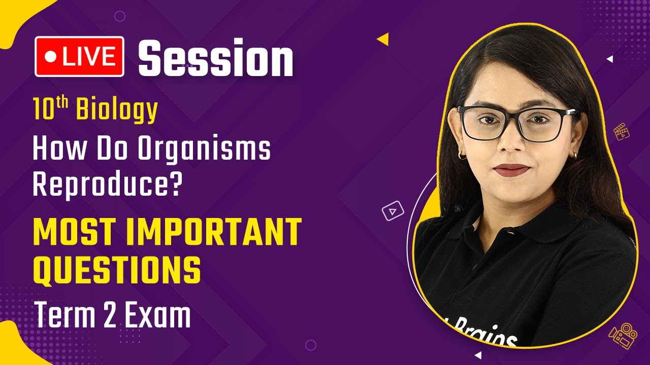 Class 10 Biology Term 2 Exam - How Do Organisms Reproduce? (Most ...