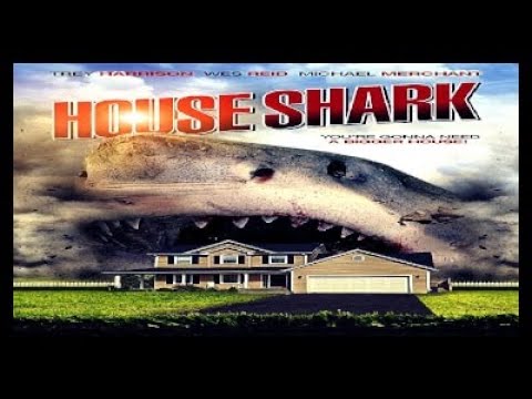 House Shark Review - YouTube