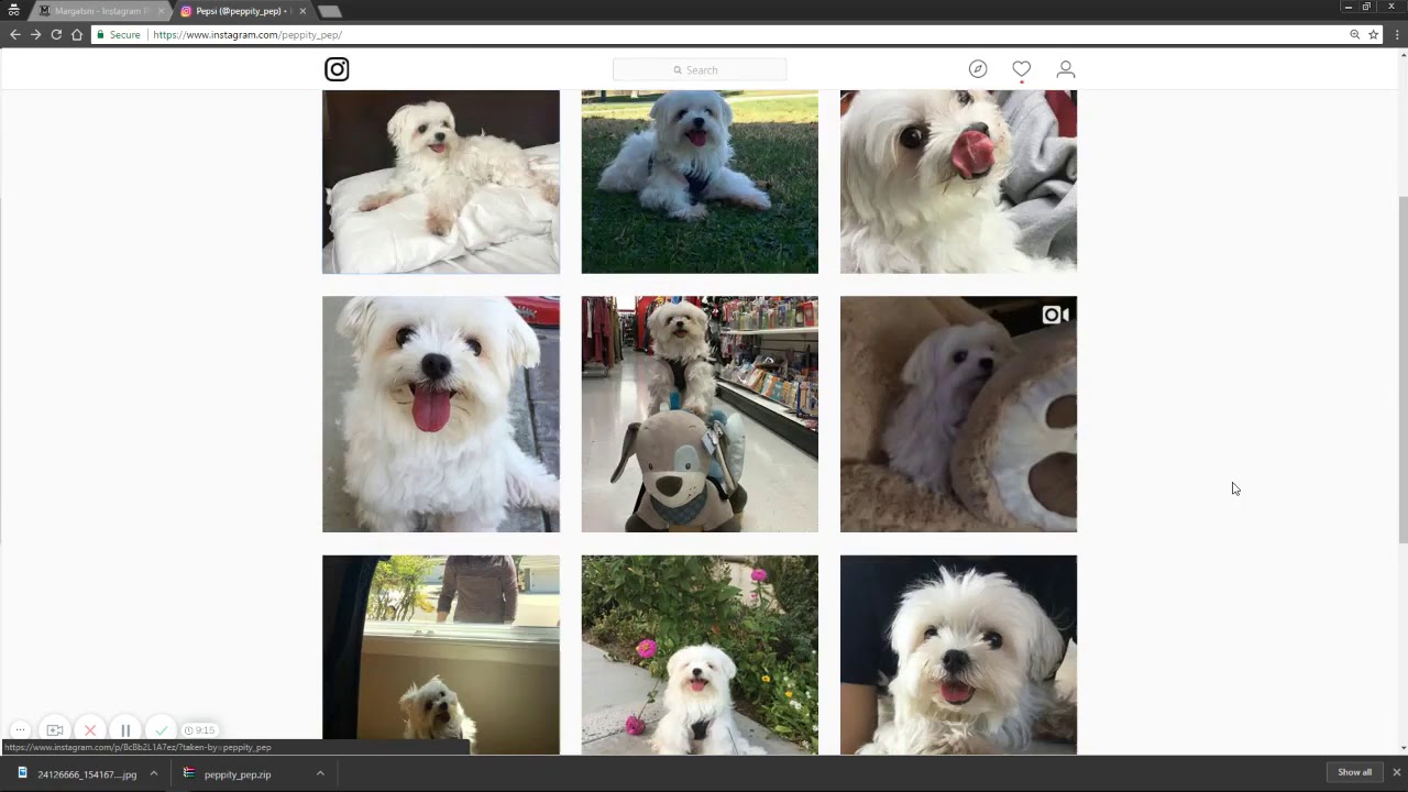 Margatsni - Instagram Photo Downloader - YouTube