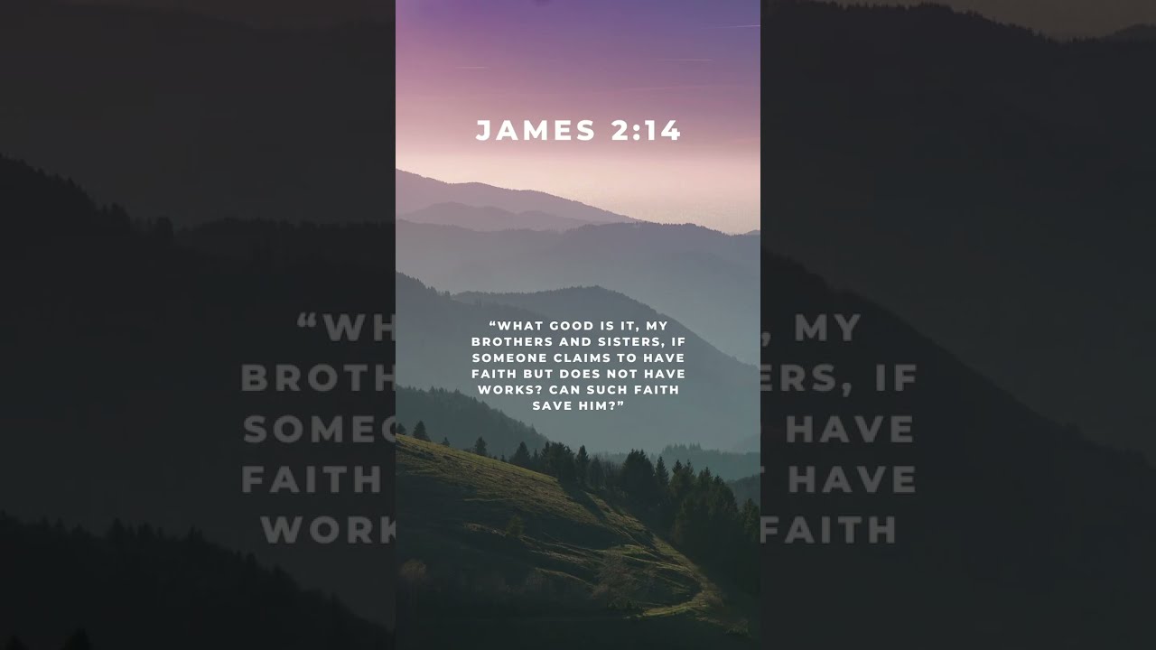 Verse Of The Day Day 53 12 25 24 James 2 14 YouTube Verse Of The Day Day 53 12 25 24 James 2 14 YouTube