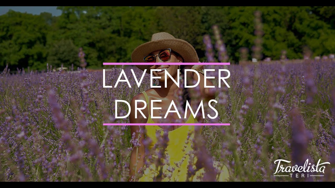 Lavender Dreams - YouTube