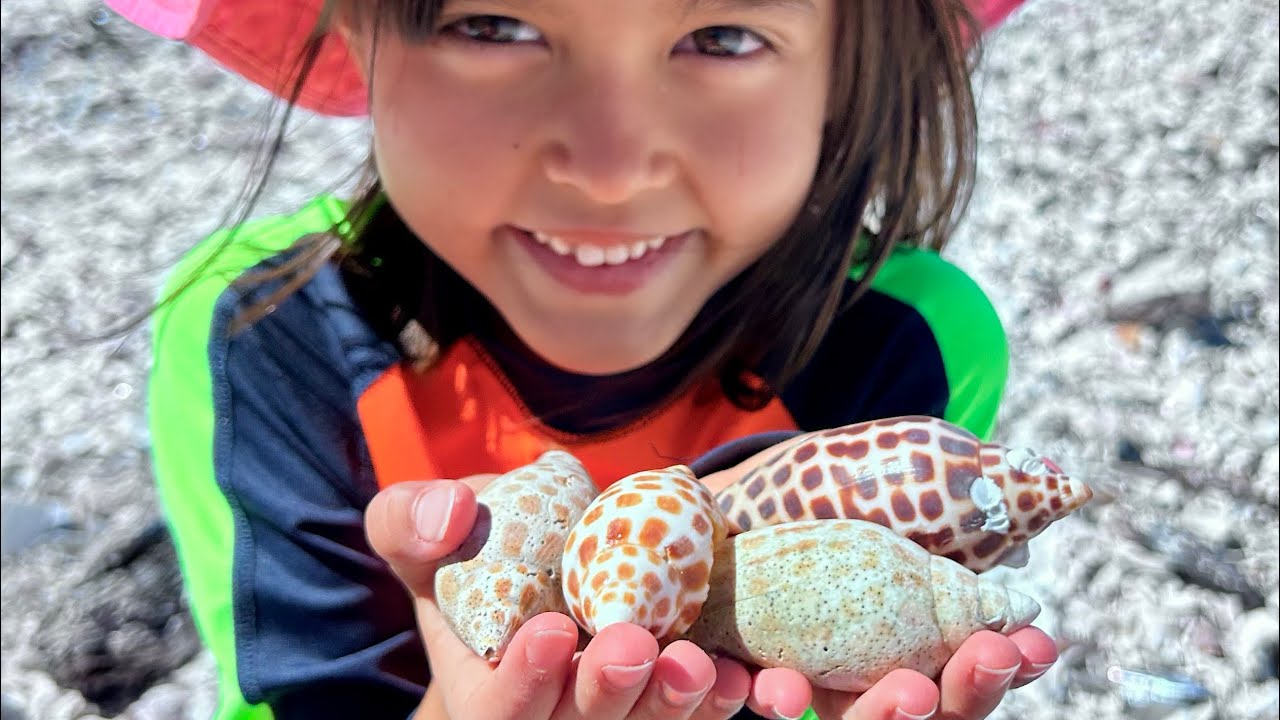 2023 fall shelling -some of the best shelling we ever had🐚 ️🥰 - YouTube