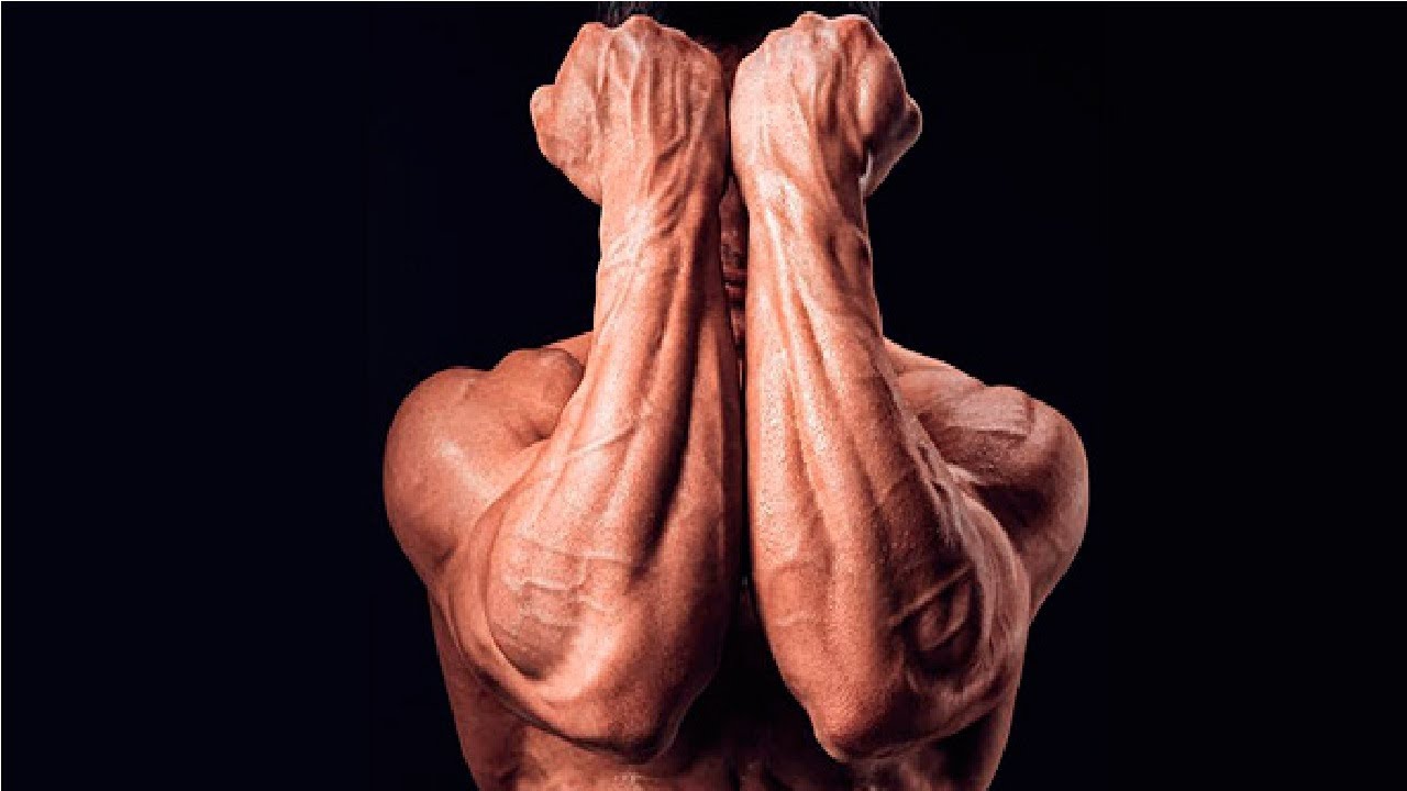 1 exercise to get big powerful forearms fast at home - YouTube