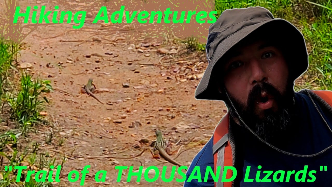 Buescher Texas State Park | The Trail of a THOUSAND Lizards | Hiking ...