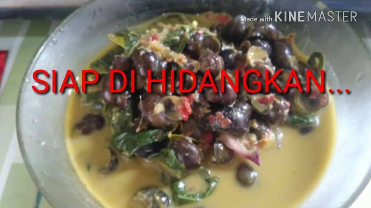 UUIIIIHH.....SEDAP...!!! GULAI SIPUT SAWAH ...MASAKAN KHAS MINANG KABAU ...