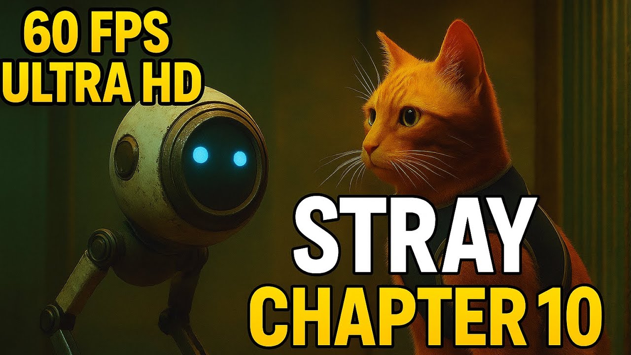 Stray Walkthrough Part 10 – Chapter 10 Puzzles & Progress [4k 60FPS HD ...