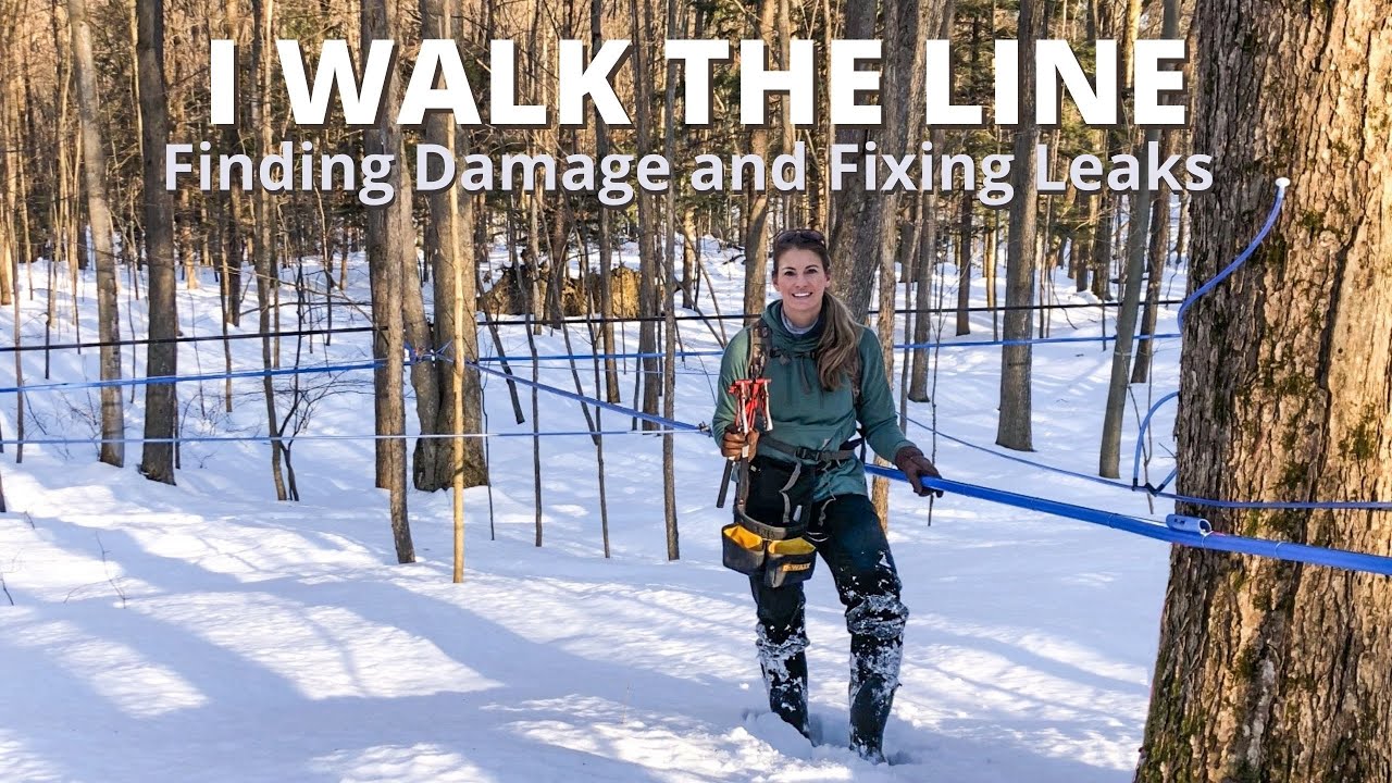 Finding Damage and Fixing Leaks in Maple Lines - YouTube