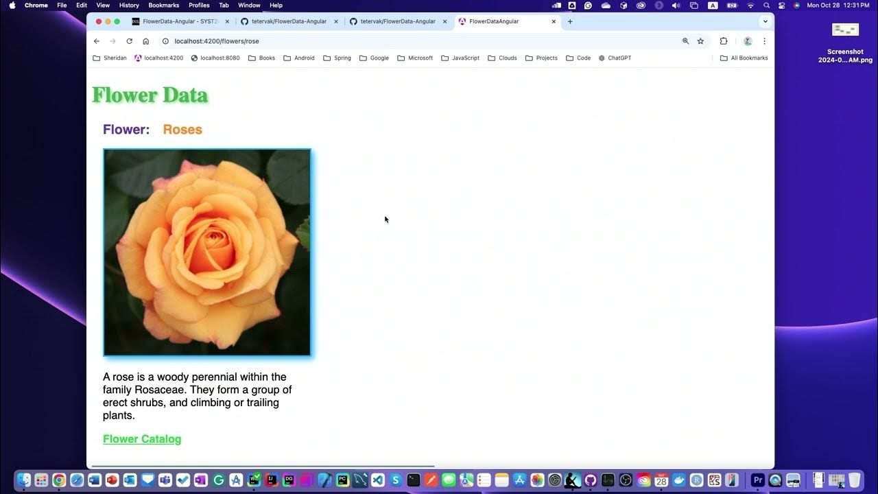 SYST24444 - FlowerData Angular - video 1 - Fall 2024 - YouTube