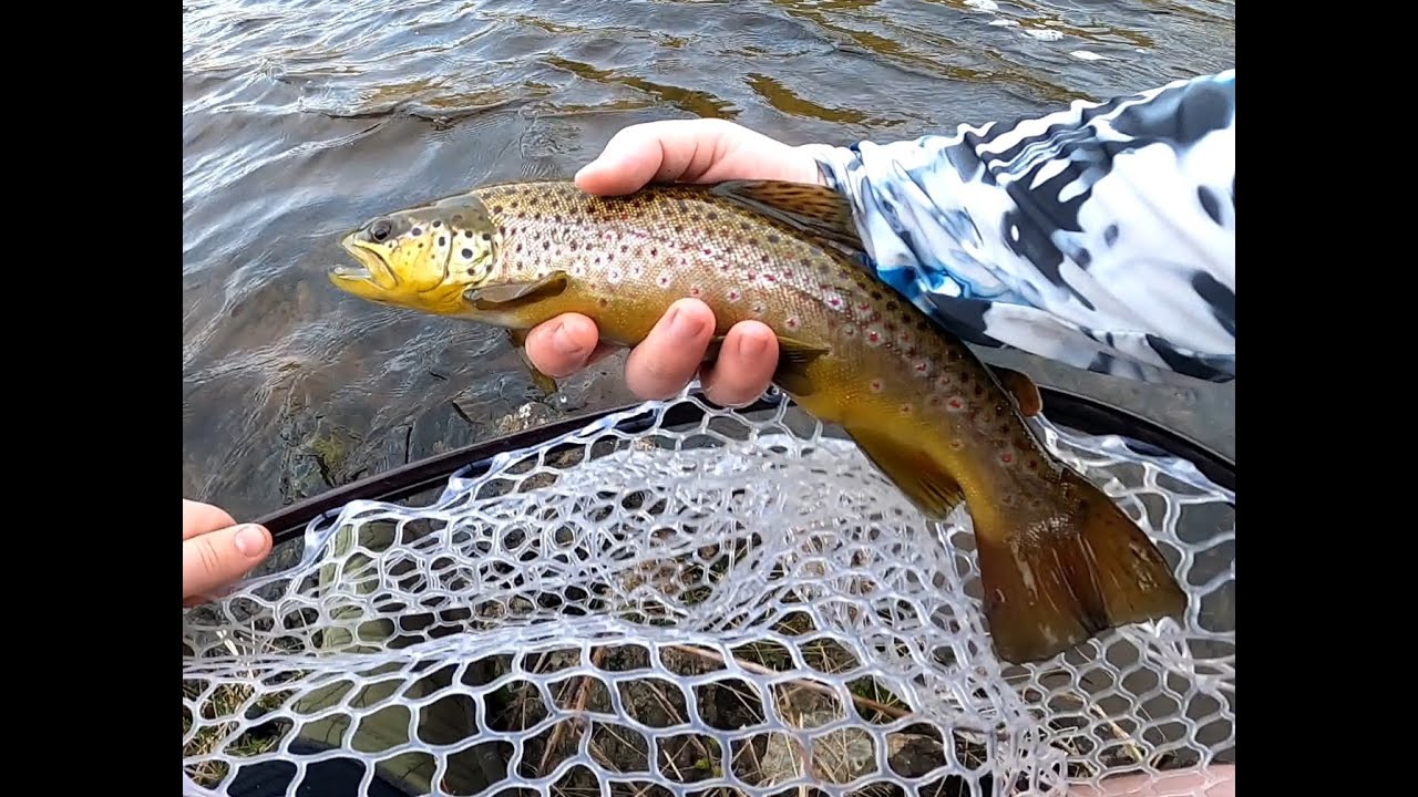 TROUT FISHING THE SARANAC RIVER CATCH AND RELEASE SECTIONS. UPSTATE NEW ...
