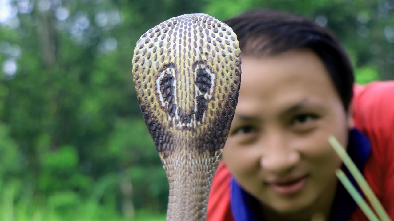 Snake information - YouTube