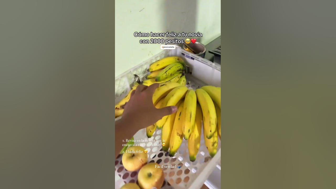 Opita Aventurero's Video - YouTube