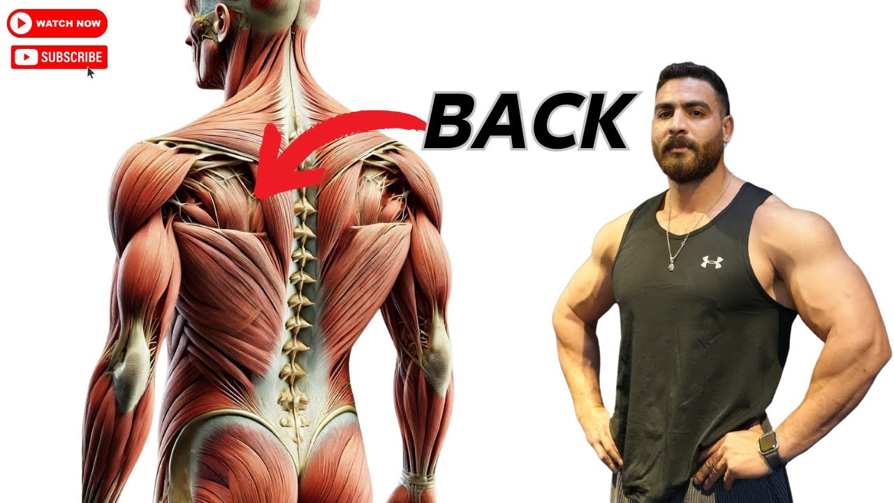 Professional back exercises to build strong and broad muscles - a ...