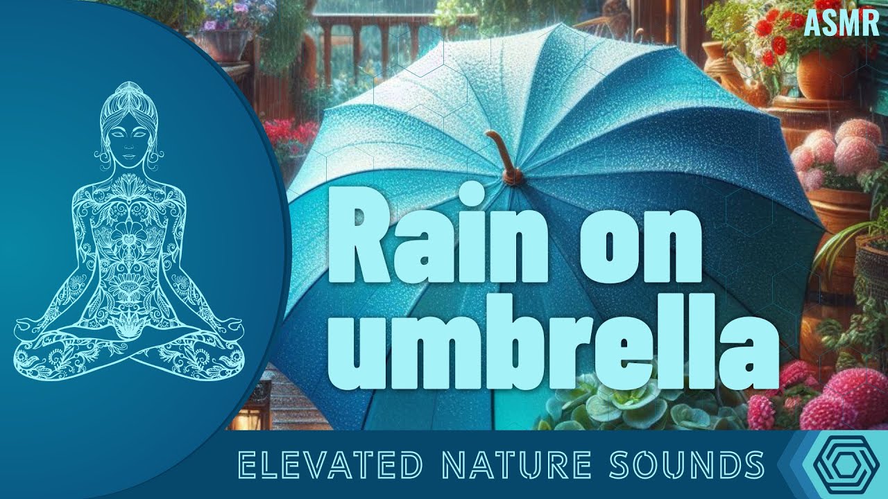 Relaxing Rain On Umbrella ASMR Sounds for Deep Sleep, Meditation, Study and Focus - YouTube