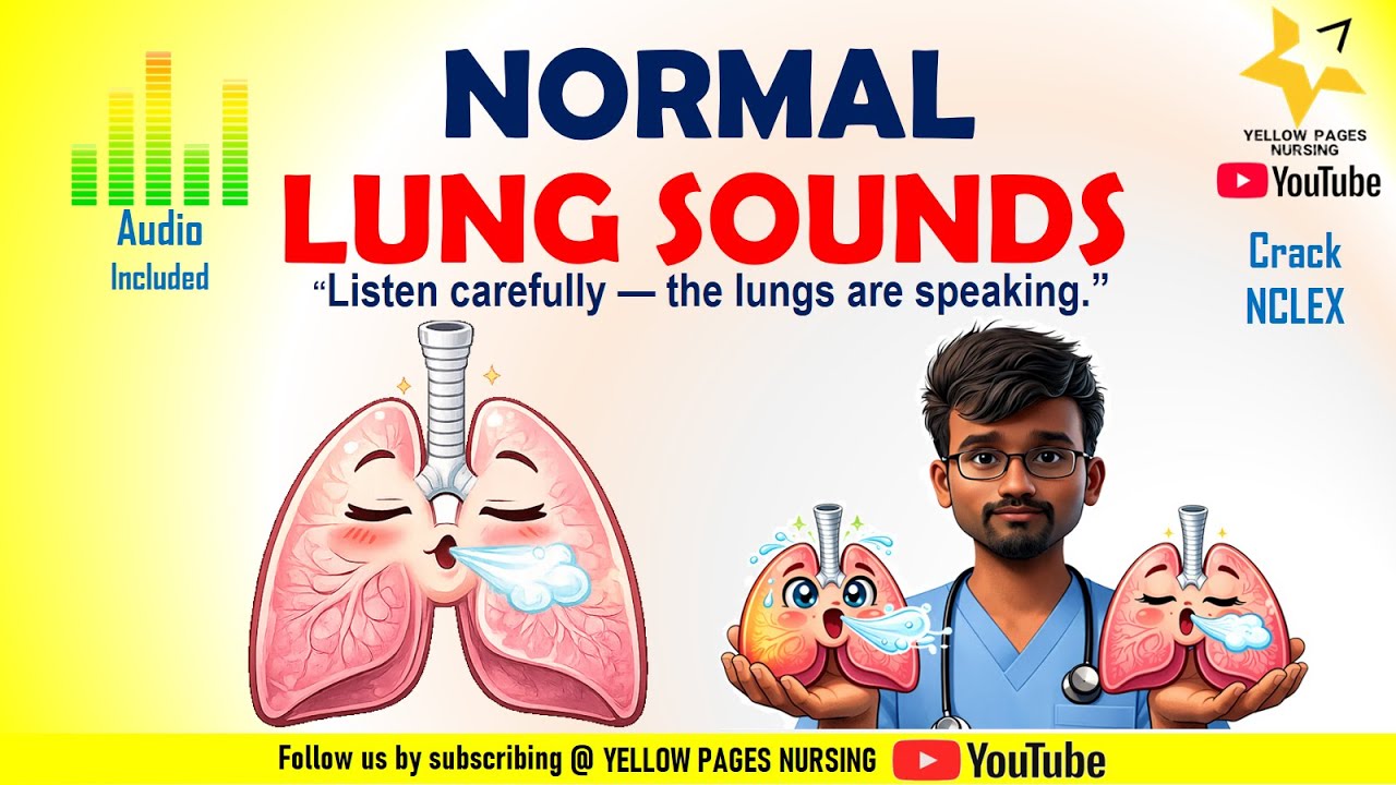 Normal Lung Sounds Explained | Vesicular, Bronchial & Bronchovesicular ...