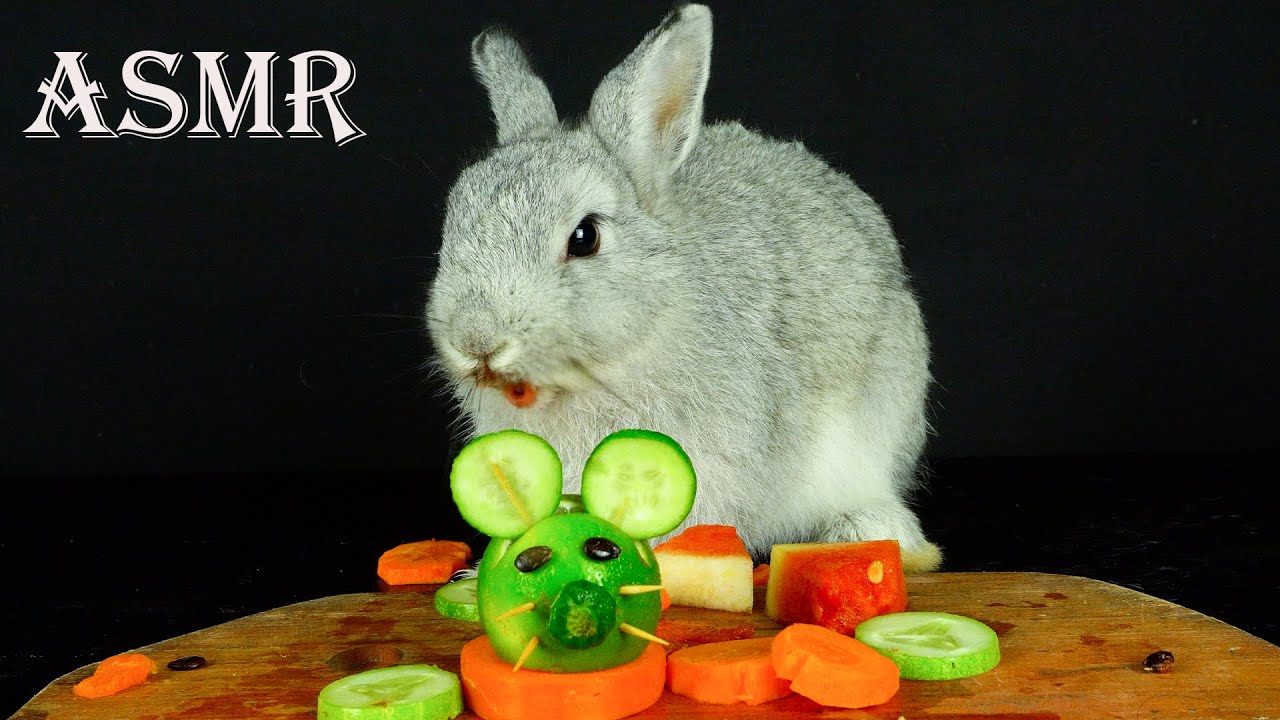 Cute Rabbit eating fruit with carve mouse fruit - YouTube