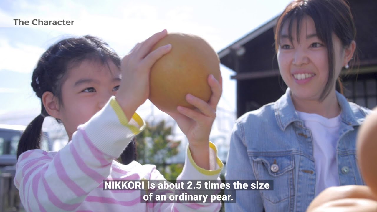 【full】NIKKORI "Discover TOCHIGI,Japan - Our taste is chosen for a ...