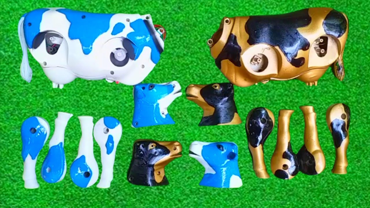 Merakit Sapi moo Sapi Biru Sapi Emas - YouTube