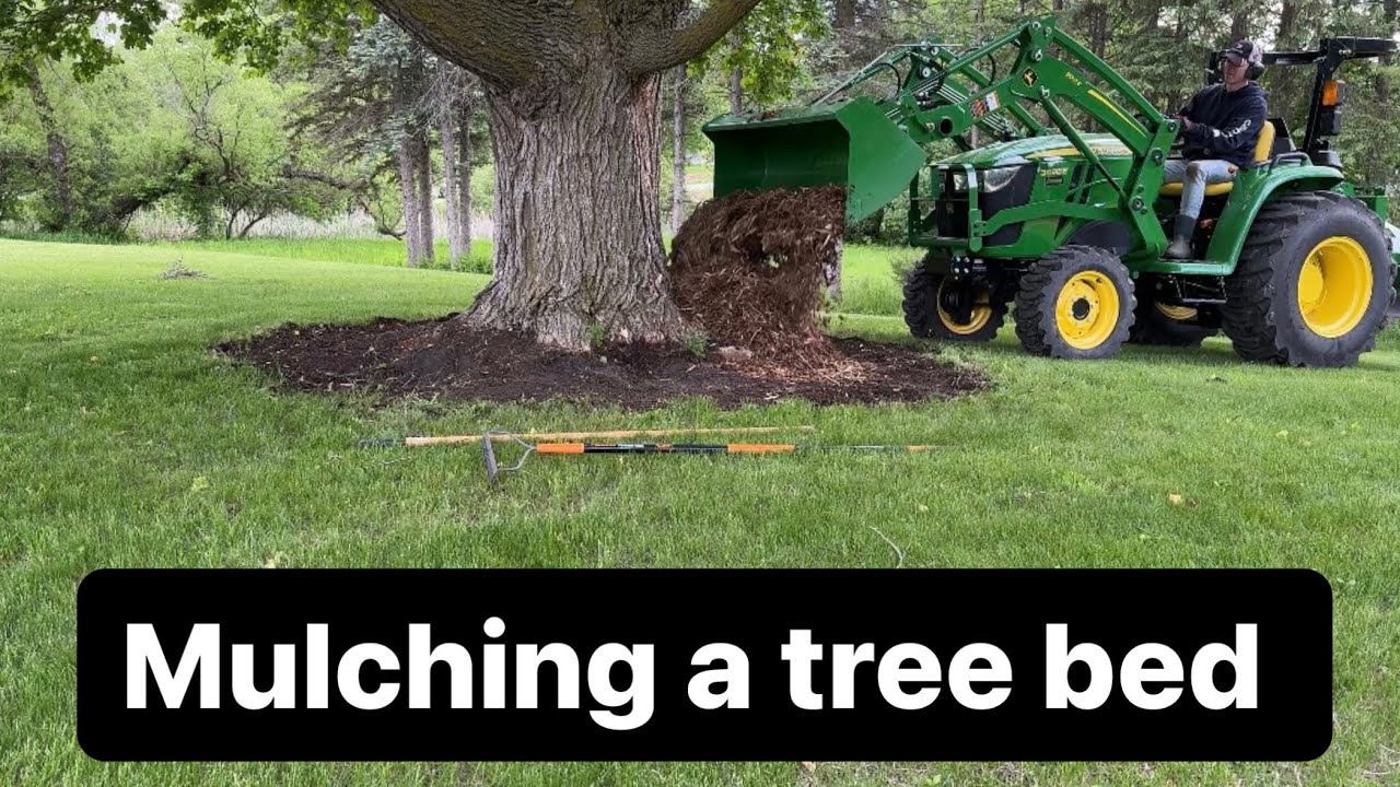 Mulching and Weeding A Large Tree Bed - YouTube