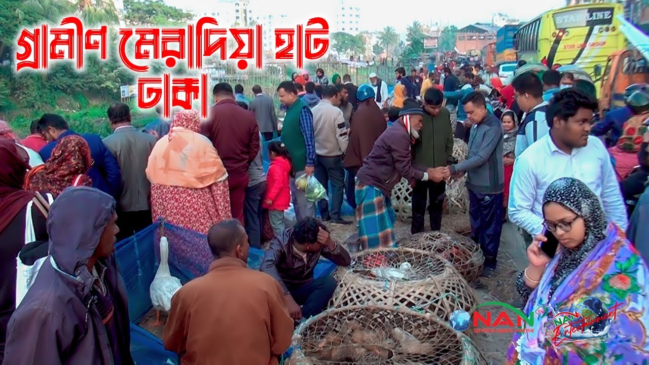 ঐতিহ্যবাহী গ্রামীণ মেরাদিয়া হাট || Meradia Hat Dhaka || Bangla ...