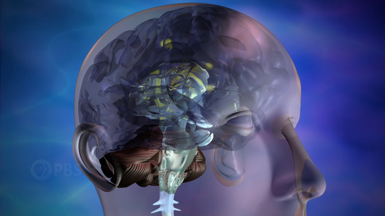 The Brain Revolution - YouTube