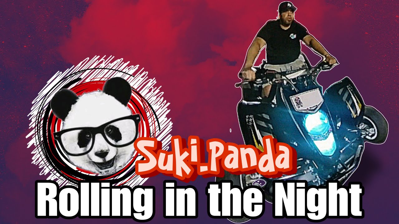 Suki Panda Rodando en la noche - YouTube