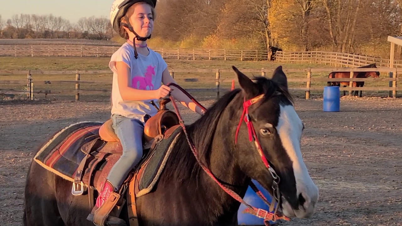 FALL HORSE RIDING - YouTube