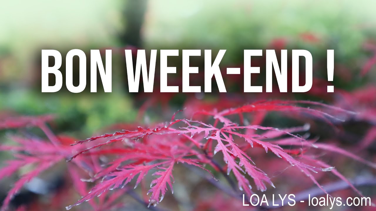 Bon week-end ! #joliecarte - YouTube