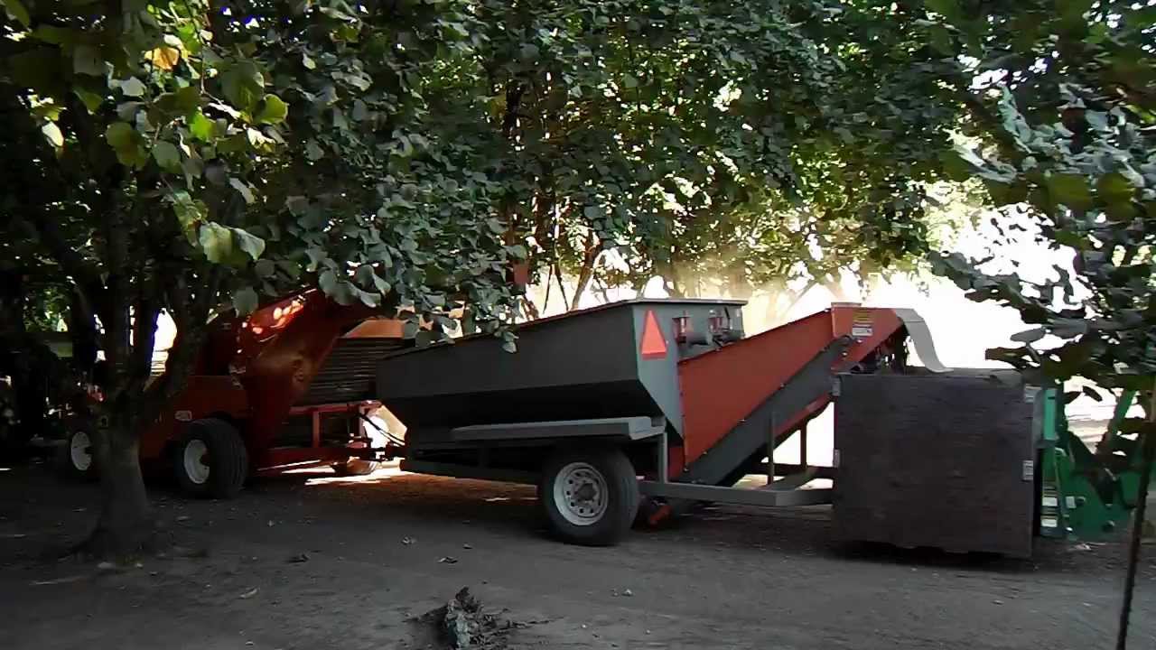Wiesner Nut Cart - YouTube